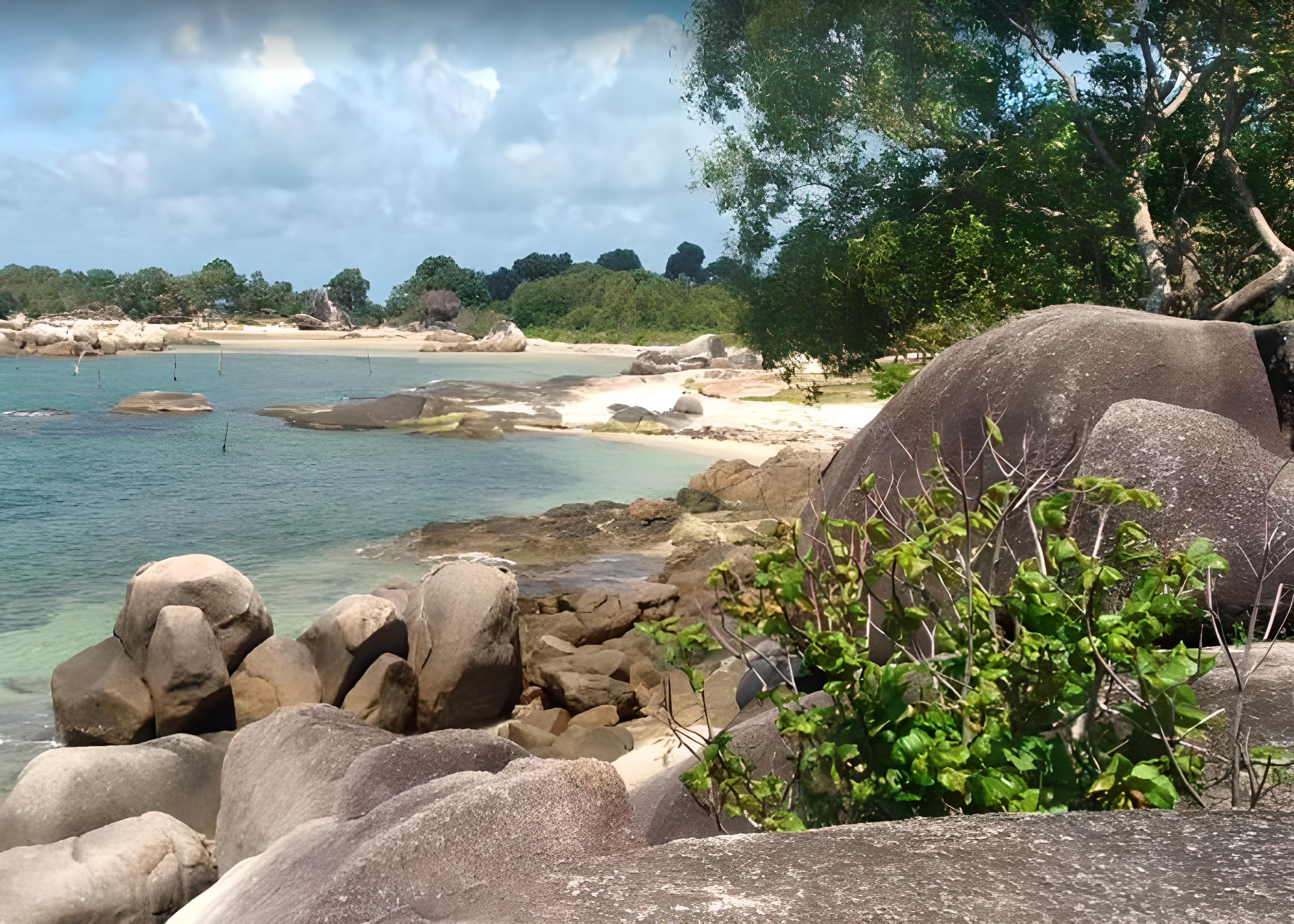 Pantai Tanjung Tinggi merupakan salah satu tempat destinasi wisata ...