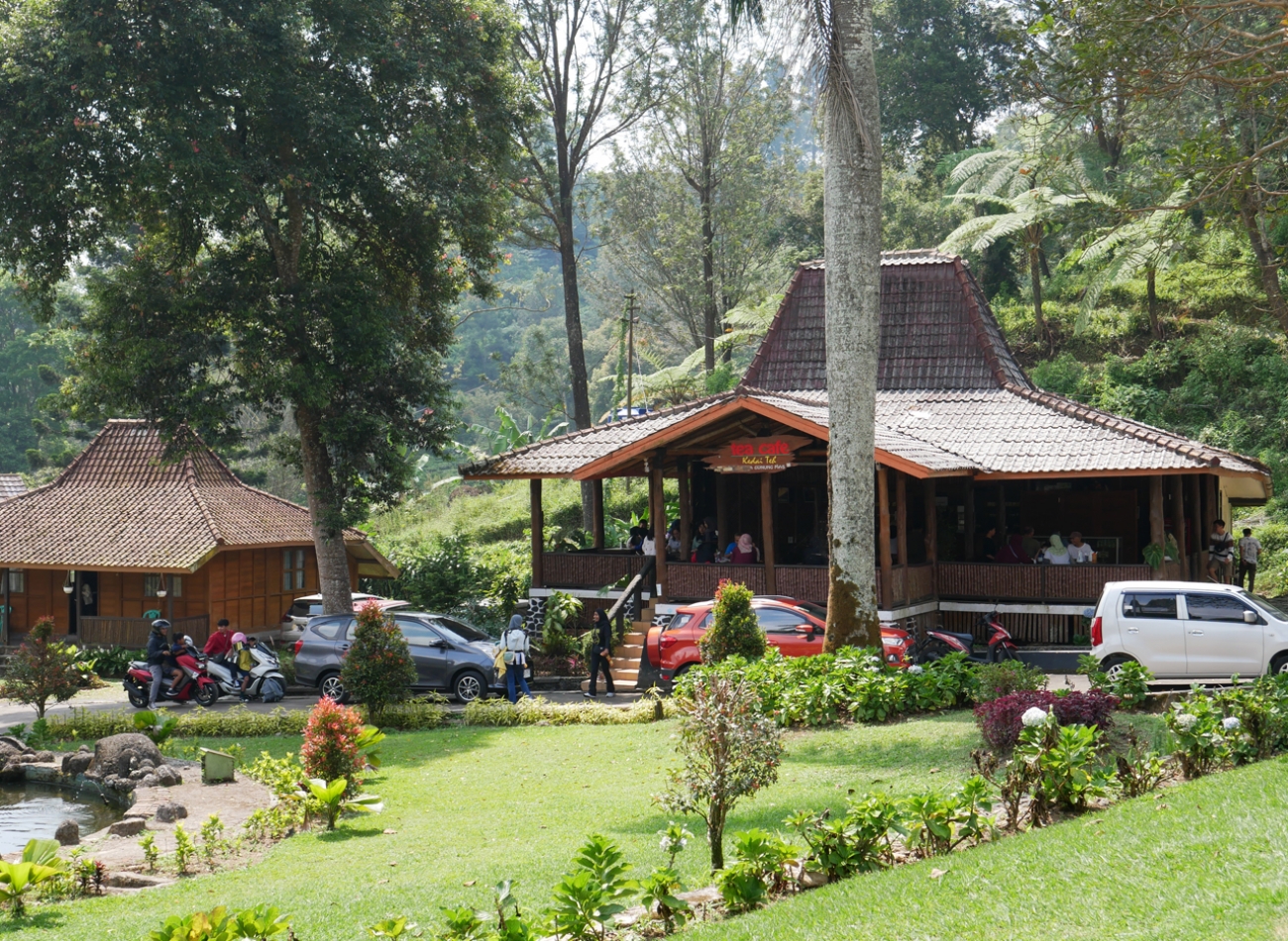 Puncak Gunung Mas Tea Gardens atau Tea Bridge adalah sebuah obyek ...