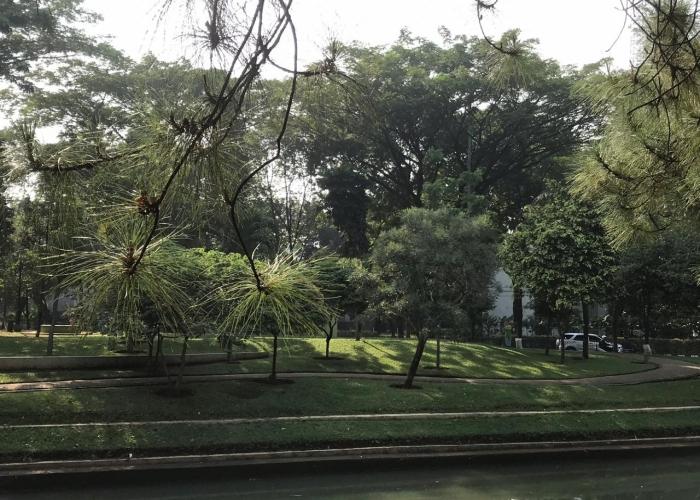 Taman Menteng Bintaro merupakan ruang terbuka hijau (RTH) dengan banyak ...